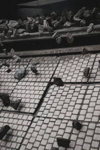 Polydeck: Screen Media Solutions that Make a Difference