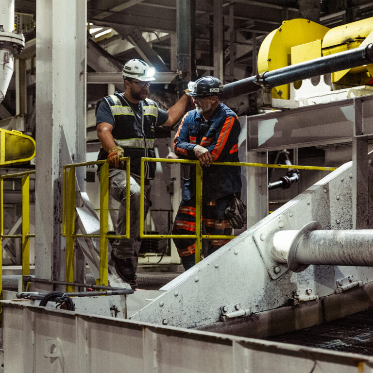 Plant Survey | Polydeck